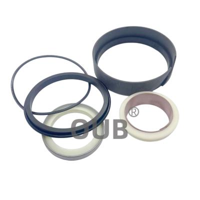 China 244-2055 2442055 Hydraulic Cylinder Seal Kit - Standard Sizes of D9R for sale