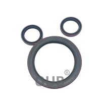 China 473243  Double‑Lip Spring‑Loaded Rotary Shaft Oil Seal Kit for Backhoe Loader Wheel Hub Repair for sale