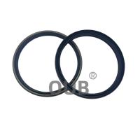 China 07016-00306 0701600306 SEAL,DUST, GLAND OF  D21A-3  D355A-3 for sale