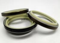 China DKBZ DKBI DKB 0714500080 Dust Wiper Seal 100*114*8/11 8mm O Rings for sale