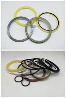 China 31Y125260 Boom Cylinder Hydraulic Seal Kits Hyundai 31Y100999 Shaft Seal Kit for sale