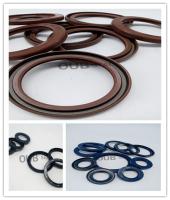 China 100*120*7.5 CFW Oil Seal Kits Framework 49077350 Excavator Seal Parts for sale