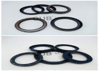 China 100*120*7.5 CFW Oil Seal Kits Framework 49077350 Excavator Seal Parts for sale