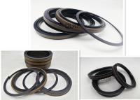China 707-44-13280 707-44-13911 Hydraulic Motor SPGW150 SPGW155 Sealed Power Piston Rod Rings For Komatsu Excavator for sale