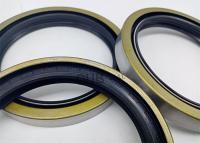 China NBR FKM Oil Seal Kits For Excavator AW4068E DB2 100*125*20 AW4395E DCY 125*150*13/13.7 for sale
