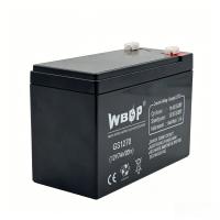 China 7AH 12V AGM Battery Black Lead Acid Battery For UPS Security Alarm Emergency System Medical Equipment for sale