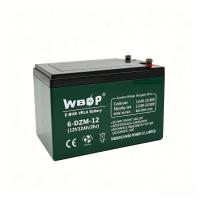 China 12V 12AH Electric Vehicles Battery Rechargeable Maintenance Free Deep Cycle Battery for sale