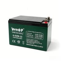 China 12V 12AH Electric Vehicles Battery Rechargeable Maintenance Free Deep Cycle Battery for sale