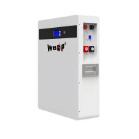 China Wall Mounted Lithium LiFePo4 Battery 51.2V 100Ah 5.12kWh Home Solar Storage Battery for sale