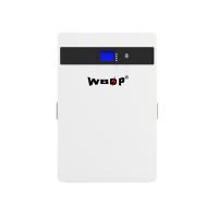 China Wall Mounted Lithium LiFePo4 Battery 51.2V 100Ah 5.12kWh Home Solar Storage Battery for sale