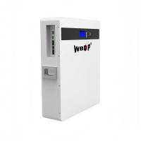 China Wall Mounted Lithium LiFePo4 Battery 51.2V 100Ah 5.12kWh Home Solar Storage Battery for sale