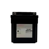 China 12.8V 2AH LiFePO4 Motorcycle Battery Rechargeable Motorcycle Starting Battery for sale