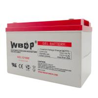 China Customized 12V 100Ah AGM Battery Lead Acid GEL AGM Battery For Alarm Systems Access Control for sale