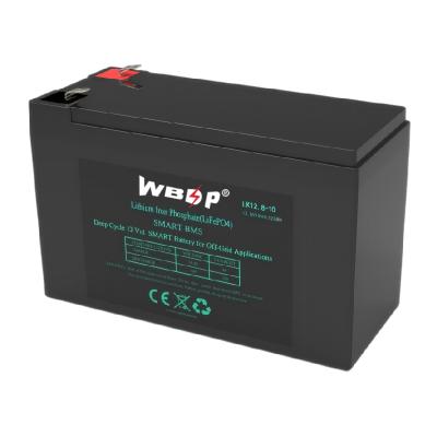 China Sealed 12V 10Ah LiFePO4 Battery Lightweight LiFePO4 Li Ion Battery Built In Smart BMS for sale
