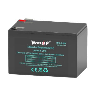 China Compact 12V 20Ah LiFePO4 Battery Lightweight LiFePO4 Deep Cycle Battery For Electric Forklift And EV for sale