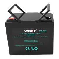 China Lightweight 12.8V 100Ah Lithium Battery Heavy Duty LiFePO4 Lithium Ion Battery for sale