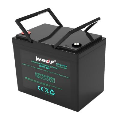 China Lightweight 12.8V 100Ah Lithium Battery Heavy Duty LiFePO4 Lithium Ion Battery for sale