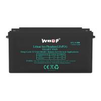 China Deep Cycle 12V 200Ah LiFePO4 Battery High Capacity Off Grid Lithium Battery Customizable for sale