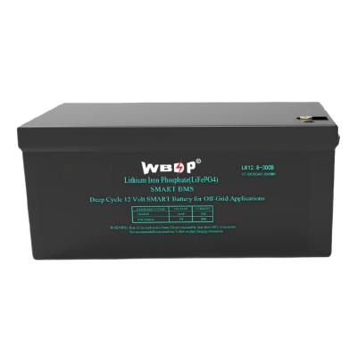 China High Capacity Lithium LiFePo4 Battery Rechargeable 12.8V 300Ah LiFePO4 Battery for sale
