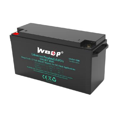 China 25.6V 24V 100Ah Lithium LiFePo4 Battery Maintenance Free Camper Van Lithium Battery for sale