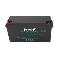China 25.6V 24V 100Ah Lithium LiFePo4 Battery Maintenance Free Camper Van Lithium Battery for sale