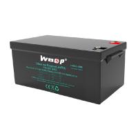 China 25.6V 24V 300Ah Lithium Battery High Capacity Lithium Camper Van Battery for sale