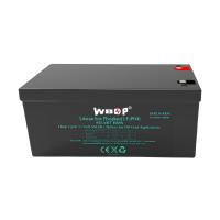 China 25.6V 24V 300Ah Lithium Battery High Capacity Lithium Camper Van Battery for sale