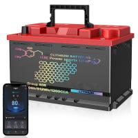 China LiFePO4 Car Battery with Battery Health Monitoring Jump Start Feature and Battery On/Off Control Lithium Iron Phosphate Car Battery for sale