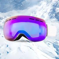 China Customizable Magnetic Lens Ski Goggles 18.6x10.4cm with Anti-Fog Photochromic Technology for Snow Sports for sale