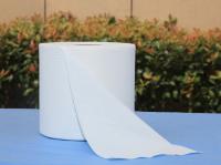 China 9-500GSM Nonwoven Fabric Perfect for Industry in Spunbond and Melt Blown Manufacturing for sale