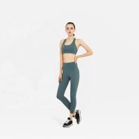 China 2 Piece Seamless SGS Women Sportswear Sets Yoga Bra And Legging for sale