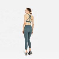 China 2 Piece Seamless SGS Women Sportswear Sets Yoga Bra And Legging for sale