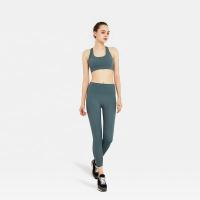 China 2 Piece Seamless SGS Women Sportswear Sets Yoga Bra And Legging for sale