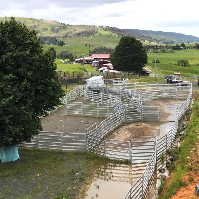 China Galvanised Bull Panel Fence Resists Corrosion Livestock Fencing for sale