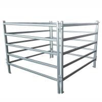 China Height 1.6m Galvanized Cattle Livestock Panels Easy Assembly Farm Metal Fence for sale