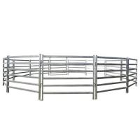 China 12 Ft Powder Coated Animal Fencing Hot Diped Galvanized Steel Pipe for sale