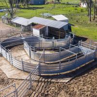 China Light Grey Cow Fence Panels 1000mm 1800mm High Metal Cattle Panels for sale