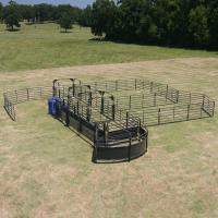 China 14 Gauge Livestock Fence Panels 1.6m 1.7m 1.8m Height Wire Cattle Panels for sale