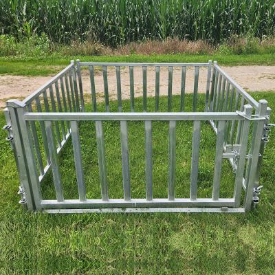 China 2.9m Heavy Duty Livestock Panels Hot Diped Galvanized Cattle Panel Mesh for sale