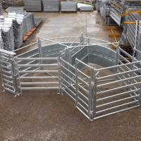 China Horizontal Oval Pipe Australian Sheep Yard Panel 30x60x1.6mm Livestock Fence Panels for sale