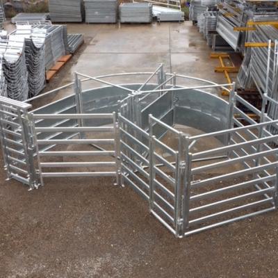 China Horizontal Oval Pipe Australian Sheep Yard Panel 30x60x1.6mm Livestock Fence Panels for sale