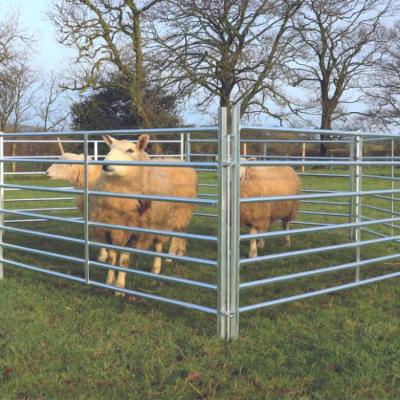 China Sheep Fence Panels Hot-Dipped Galvanized Metal European Design Style for sale