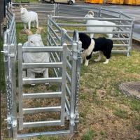 China Easily Assembled Eco Friendly Sheep Panel Fence for sale