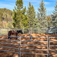 China Powder Coated Horse Corral Panels Galvanized Horse Fence Panels 1.8m Height for sale