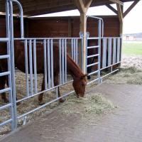 China Anti Rust Round Tube Farm Horse Yard Corral Fencing Panels Galvanized for sale
