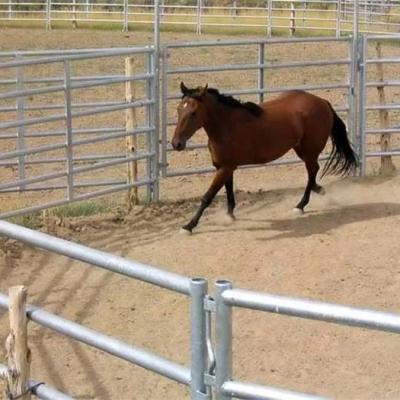 China Livestock Portable Horse Panels 2.5m 2.9m Round Pen Panels For Horses for sale