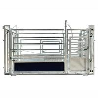 China With Weighing Scale Heavy Duty Cattle Crush Panel With Controlling The Cows Body for sale
