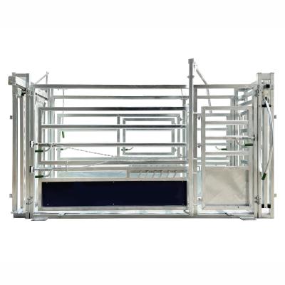 China With Weighing Scale Heavy Duty Cattle Crush Panel With Controlling The Cows Body for sale
