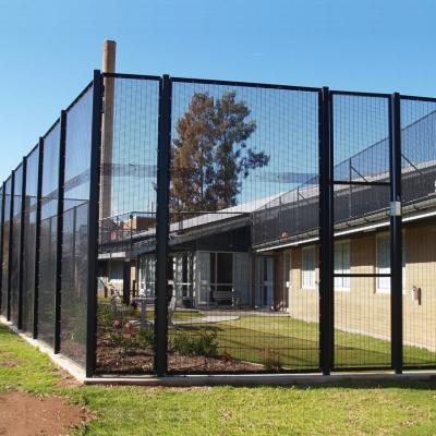 China Powder Coated 358 Security Fencing 2.3m Length Prison Mesh Fencing for sale
