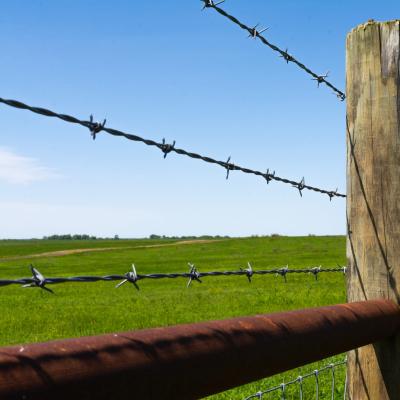 China Forest Barbed Wire Fence Roll Good Corrosion Resistance Barbed Wire Single Strand for sale